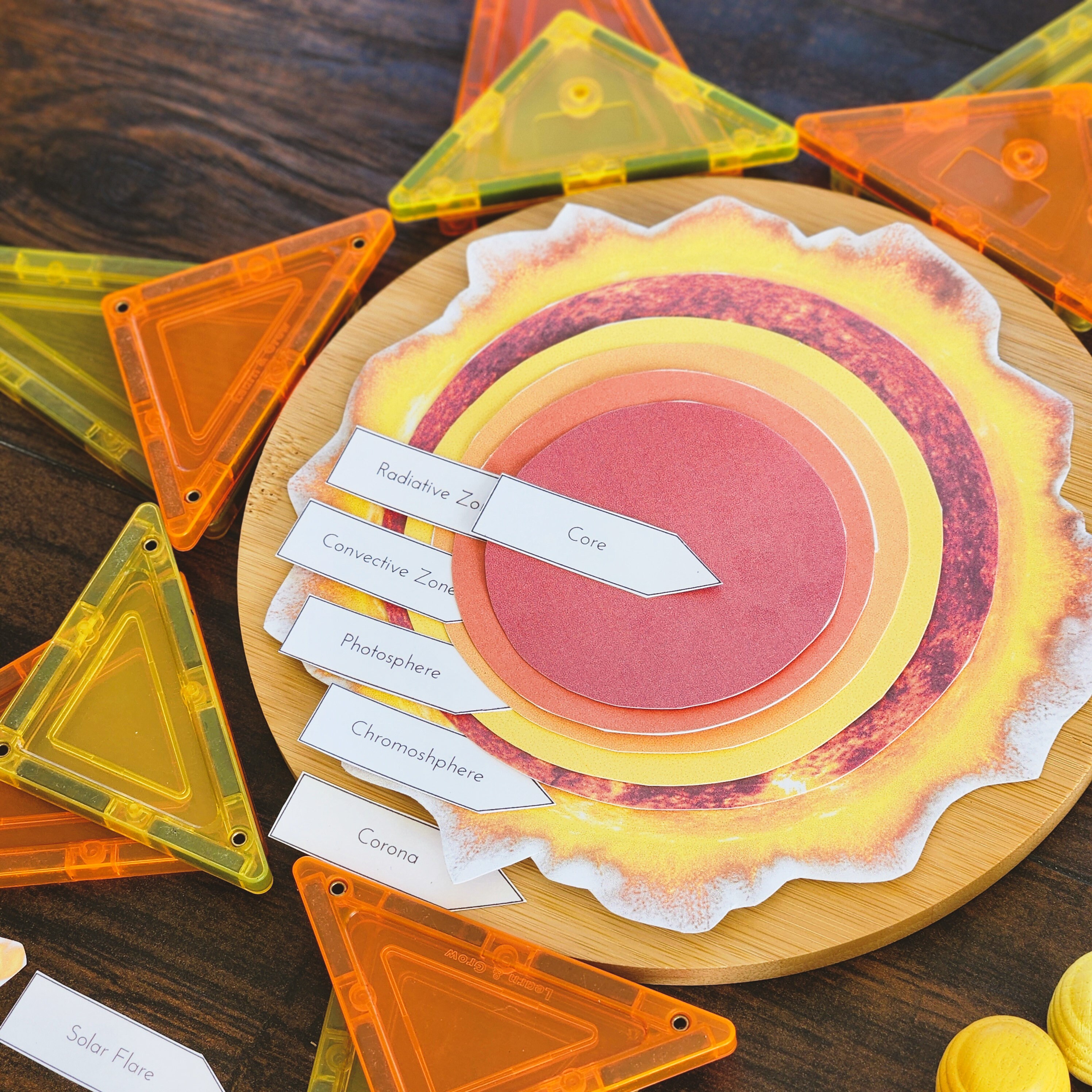 Layers of the Sun Printable Pack: Astronomy Homeschool Resource - Etsy