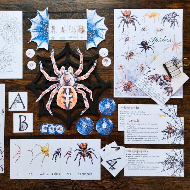 Spiders, Type of Spiders, Spider Web, Type of Webs, Printables ...