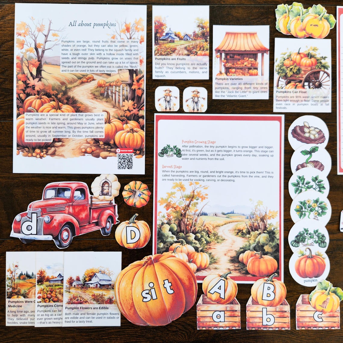 Pumpkin Patch Printable Pack: Life Cycle, Literacy & Math (homeschool ...