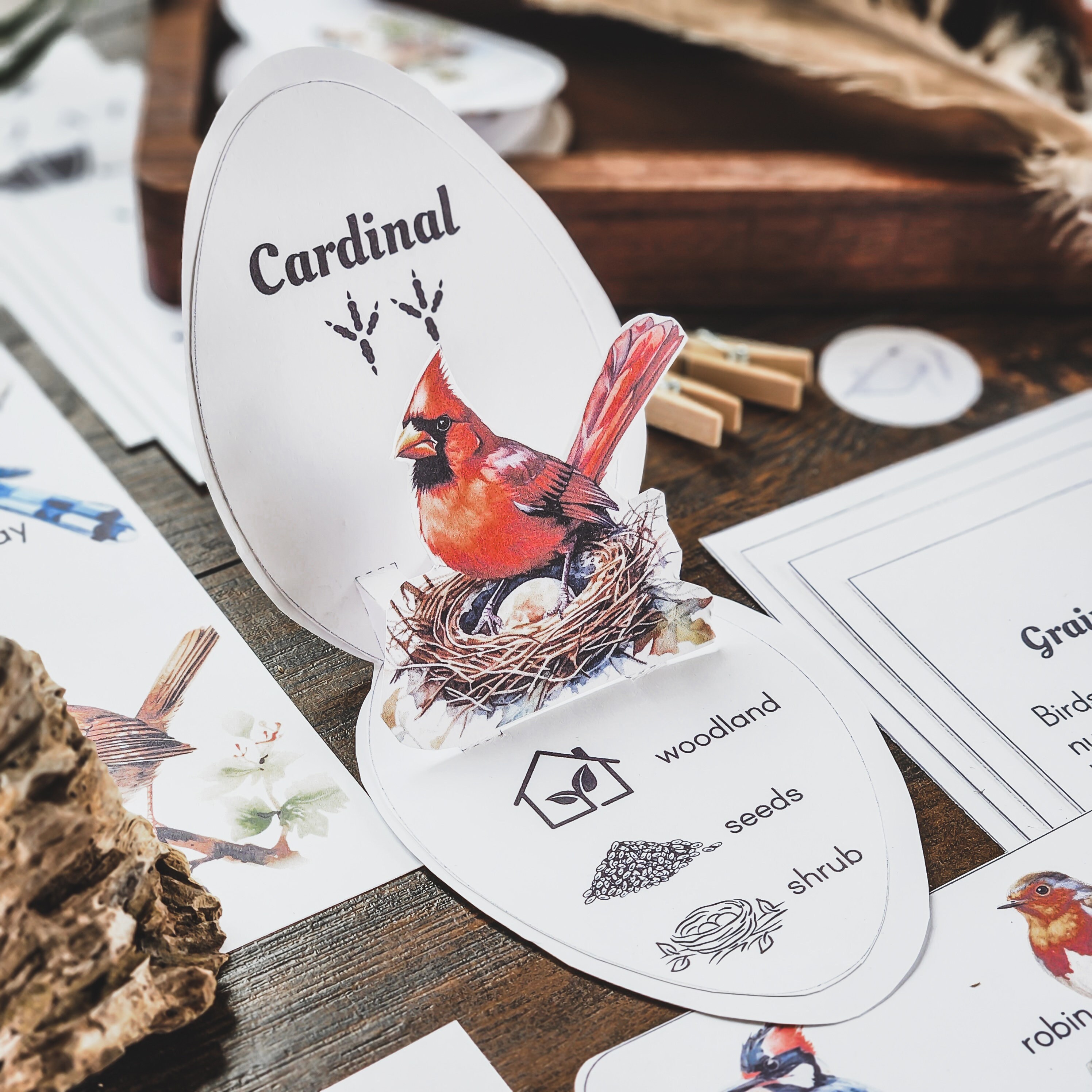 Birds Unit Study, Birds Activities, Nests, Beaks, Homeschool Printable ...