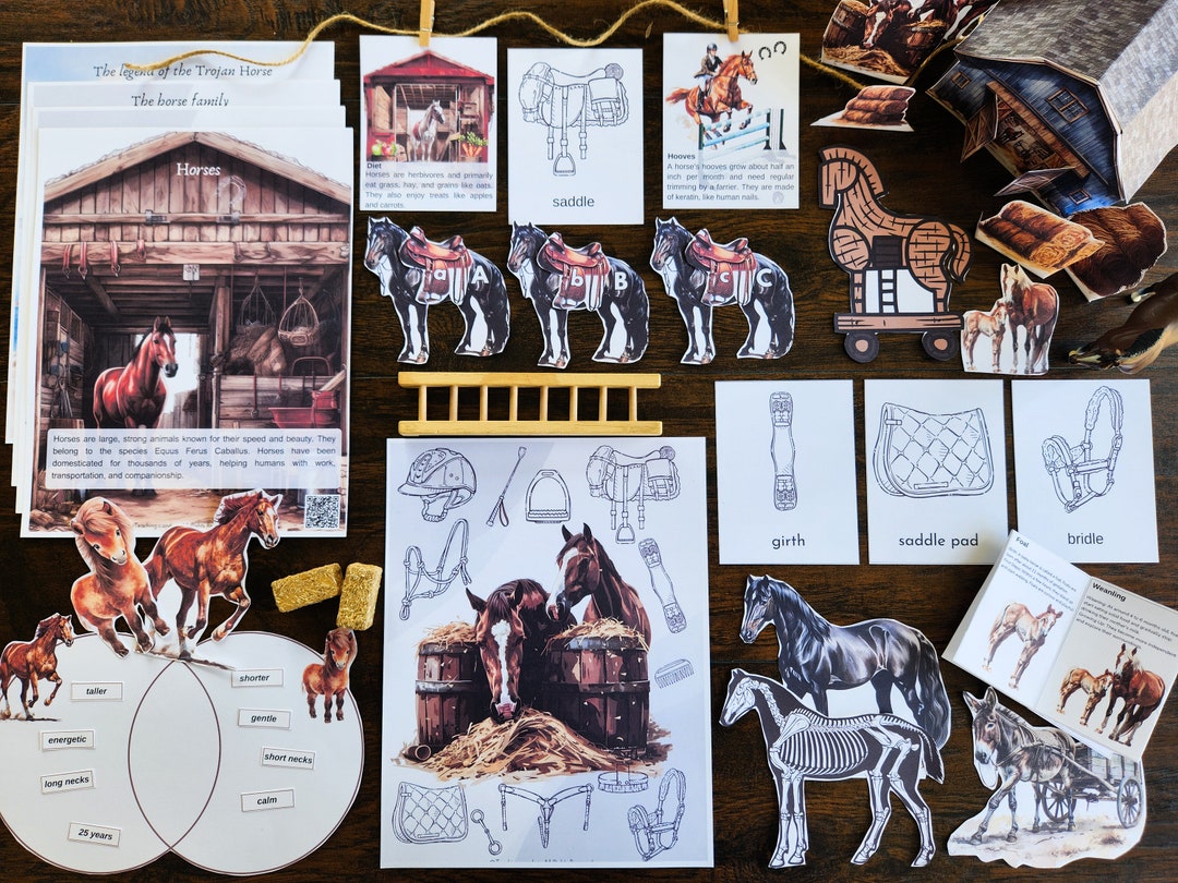 Printable Horse Activity Pack: History, Anatomy, Mythology (80+ Pages ...