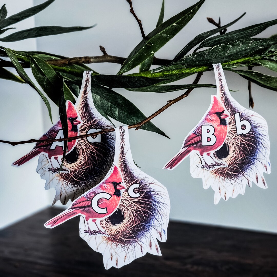 Bird & Nest ABC Study Downloadable Prints Letters Montessori Preschool ...