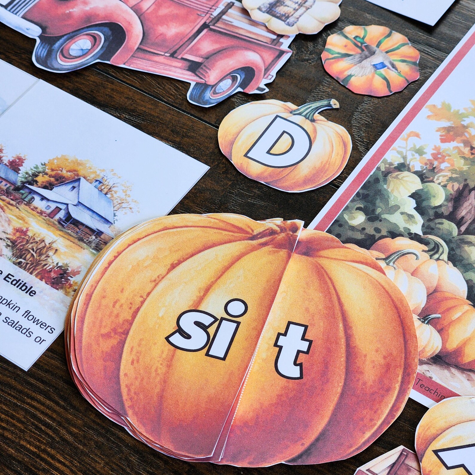 Pumpkin Patch Printable Pack: Life Cycle, Literacy & Math (homeschool ...