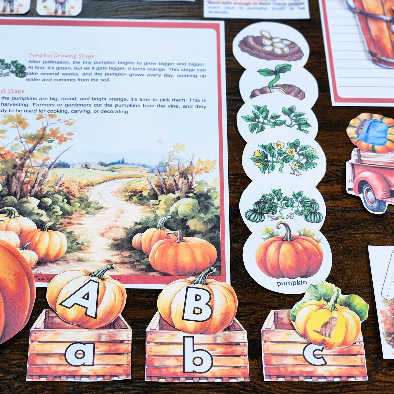 Pumpkin Patch Printable Pack: Life Cycle, Literacy & Math (homeschool ...