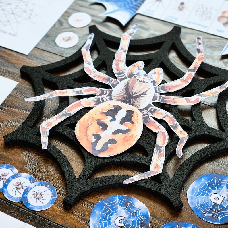 Spiders, Type of Spiders, Spider Web, Type of Webs, Printables ...