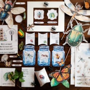 Entomology , Insects Unit Study, Bugs, Butterfly Life Cycle, Printables ...