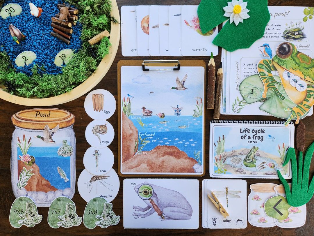Pond Unit, Pond Study, Montessori Inspired, Homeschool, Homeschool ...