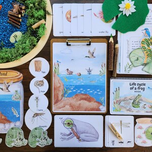 Pond Unit, Pond Study, Montessori Inspired, Homeschool, Homeschool ...