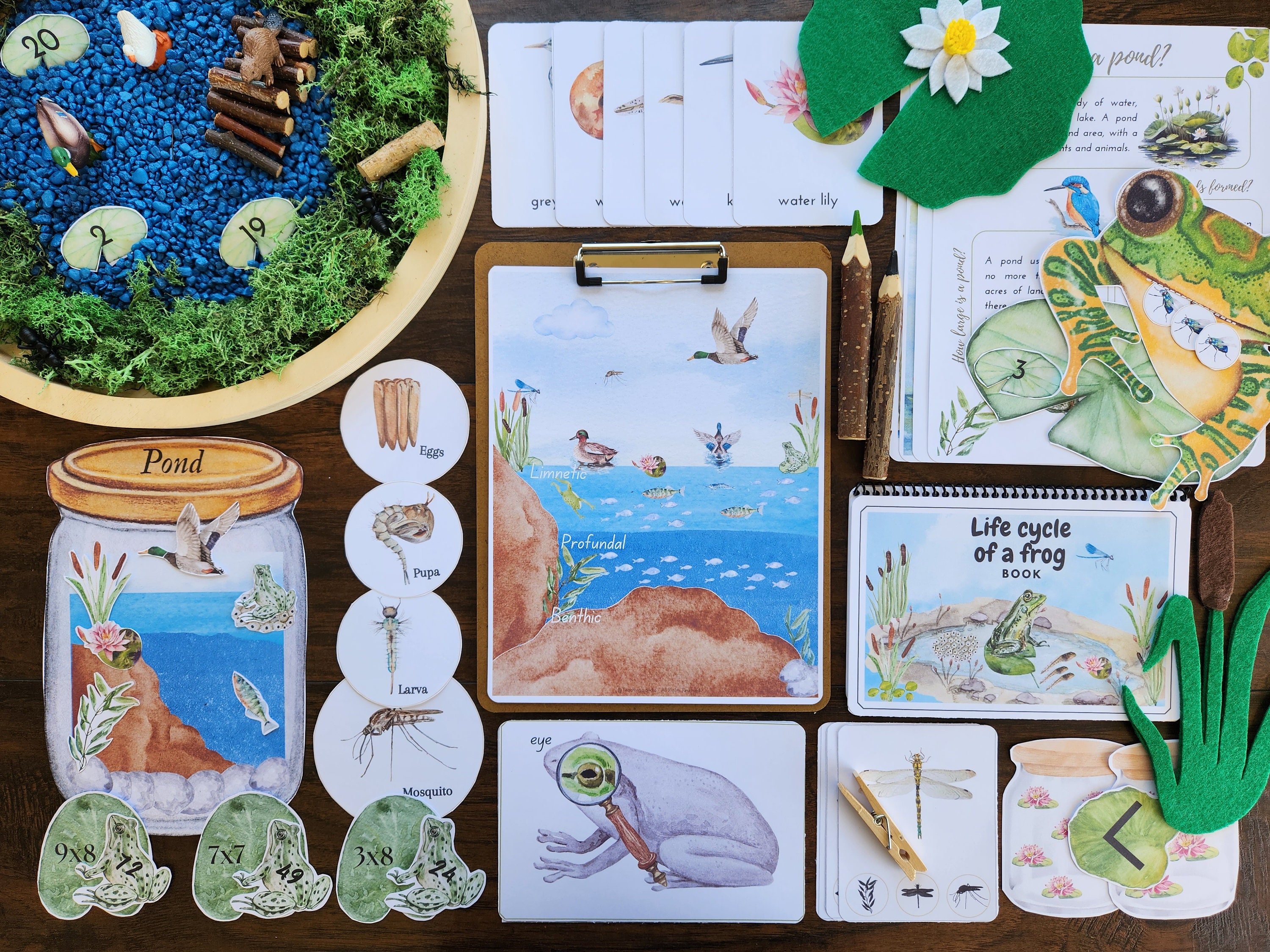 Pond Unit, Pond Study, Montessori Inspired, Homeschool, Homeschool ...