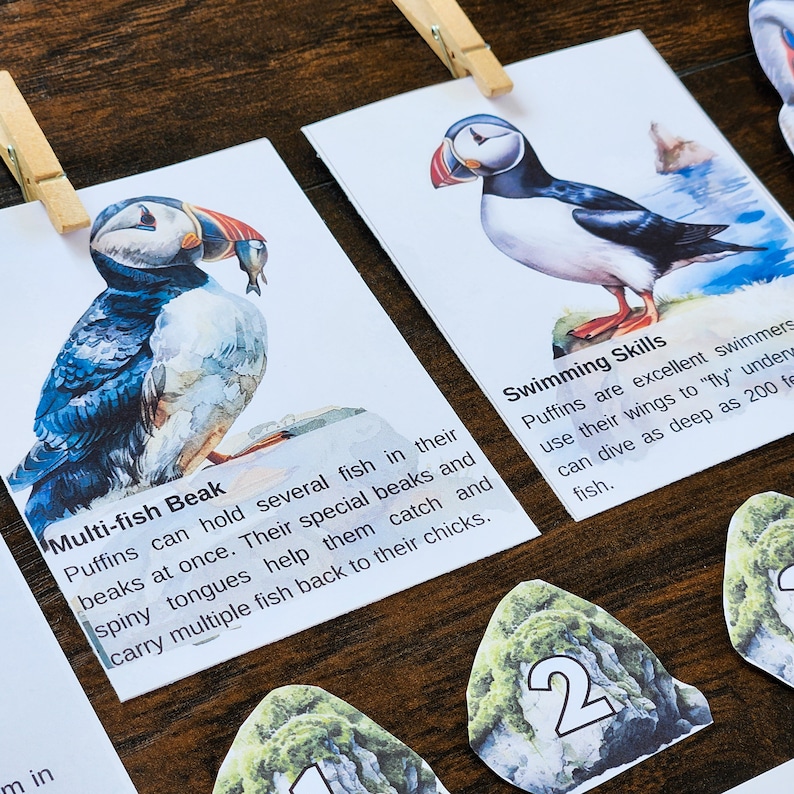 Puffin Printable Pack: Unit Study, Life Cycle, Crafts (50+ Pages) - Etsy