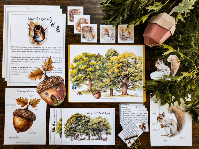 Squirrel & Acorn Unit Study: Homeschool Printables (digital Download ...