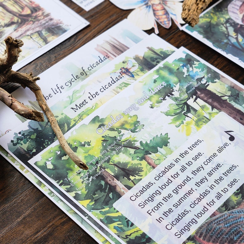 Cicada Life Cycle Activity Pack: Homeschool Montessori Printables - Etsy