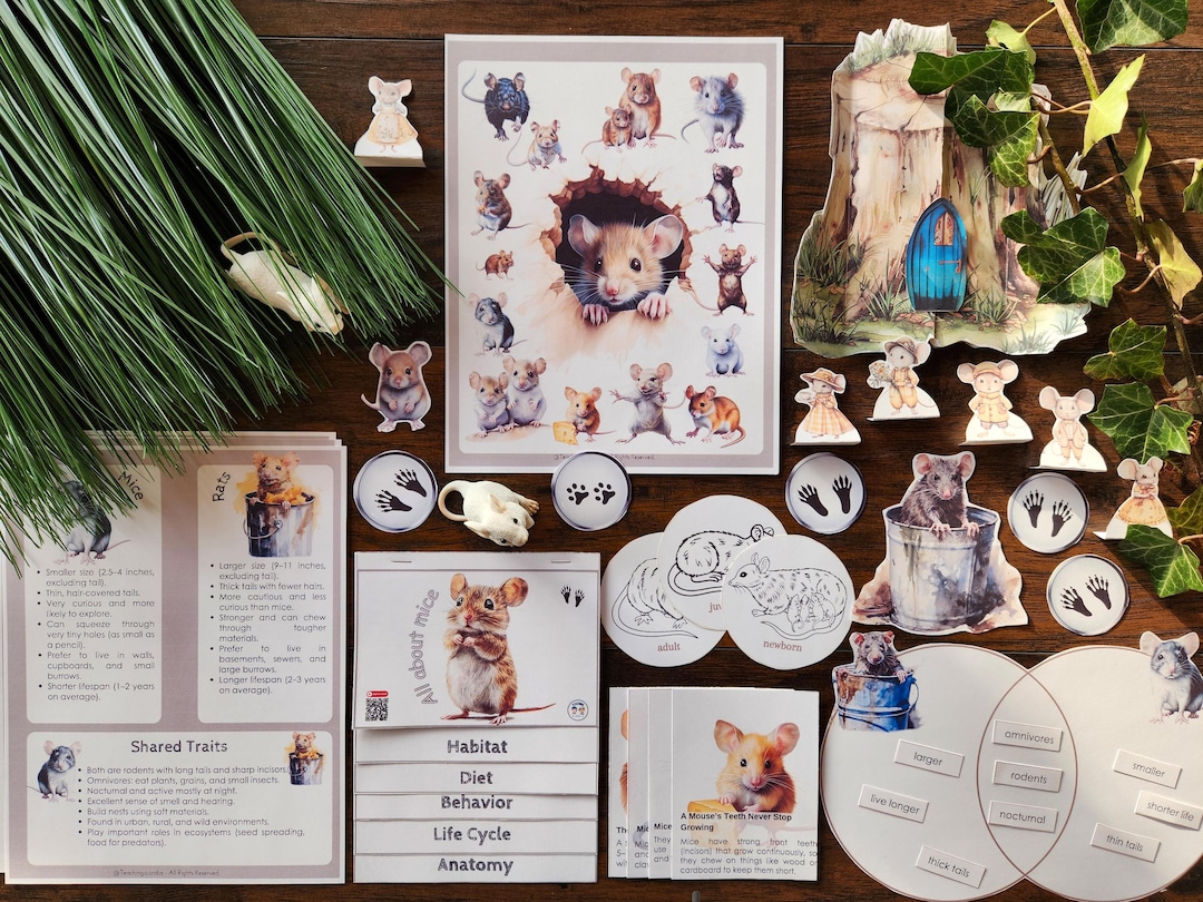 Mice Unit Study, Printables, Homeschool Activities, Mouse, Mouse House ...