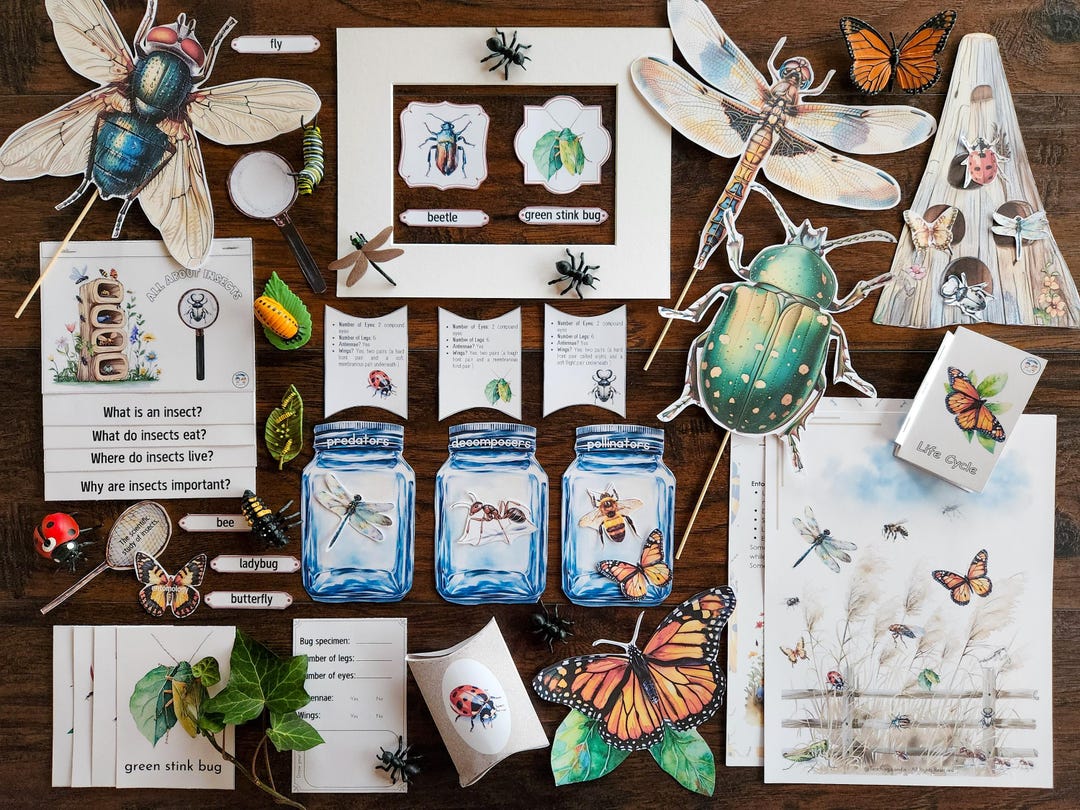 Entomology , Insects Unit Study, Bugs, Butterfly Life Cycle, Printables ...