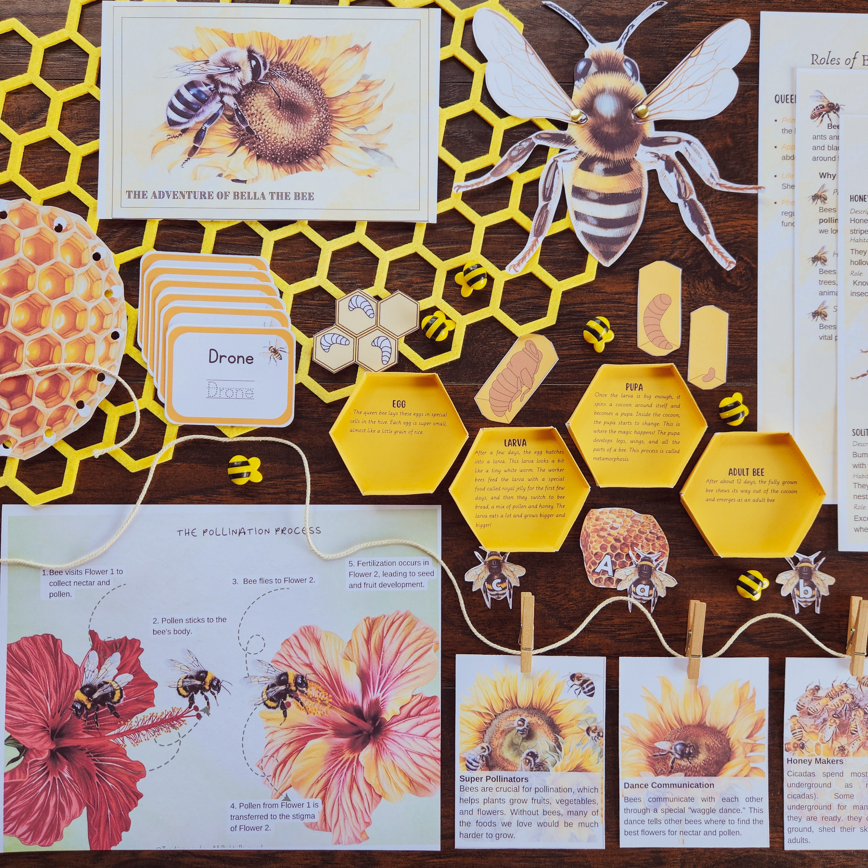 Bees Unit Study, Montessori Activities, Printables, Bee Activities ...