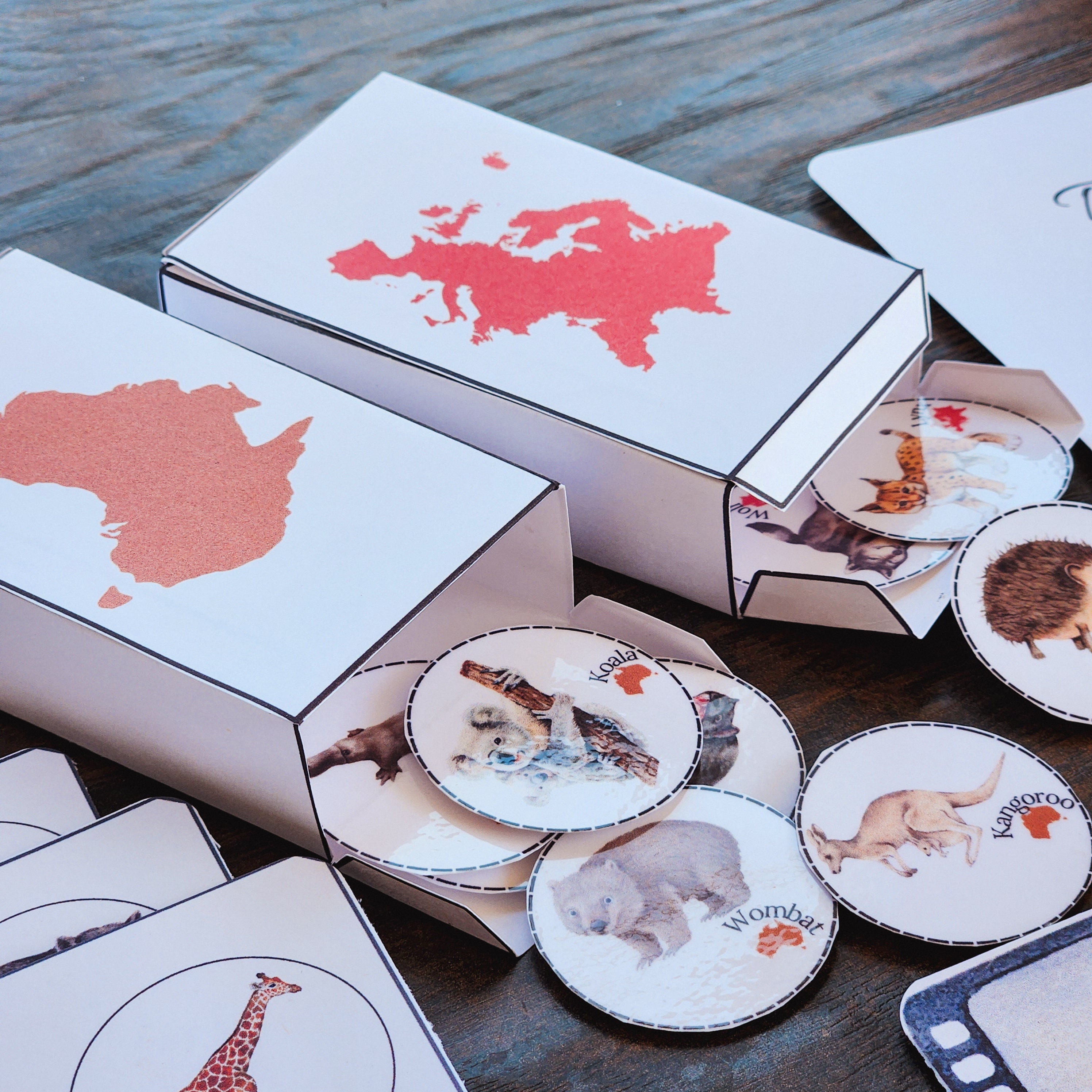 Continents Printable Pack: Montessori Geography Activities for Kids - Etsy