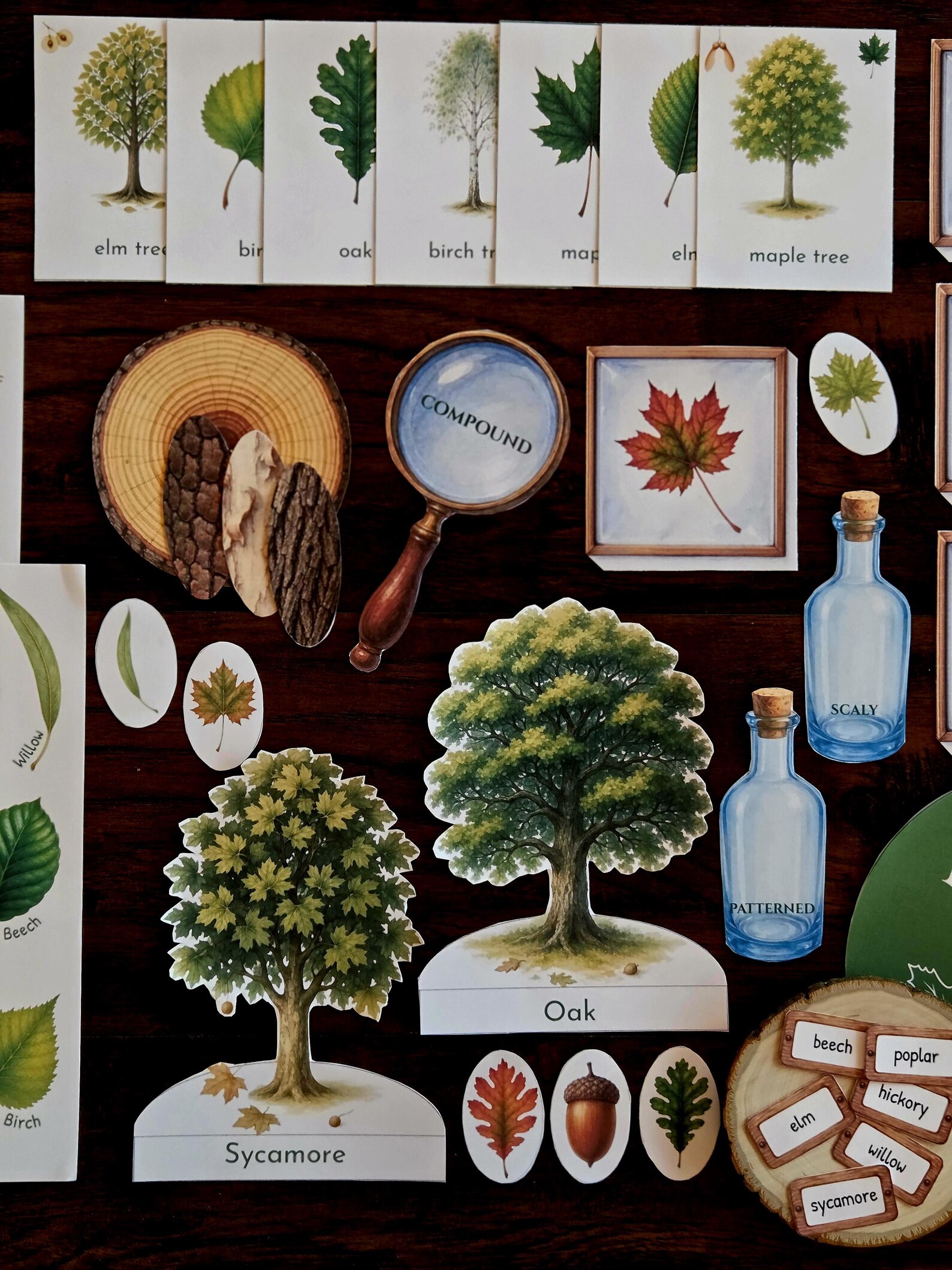 Leaf & Tree ID Learning Pack | Homeschool Nature Study Printables ...