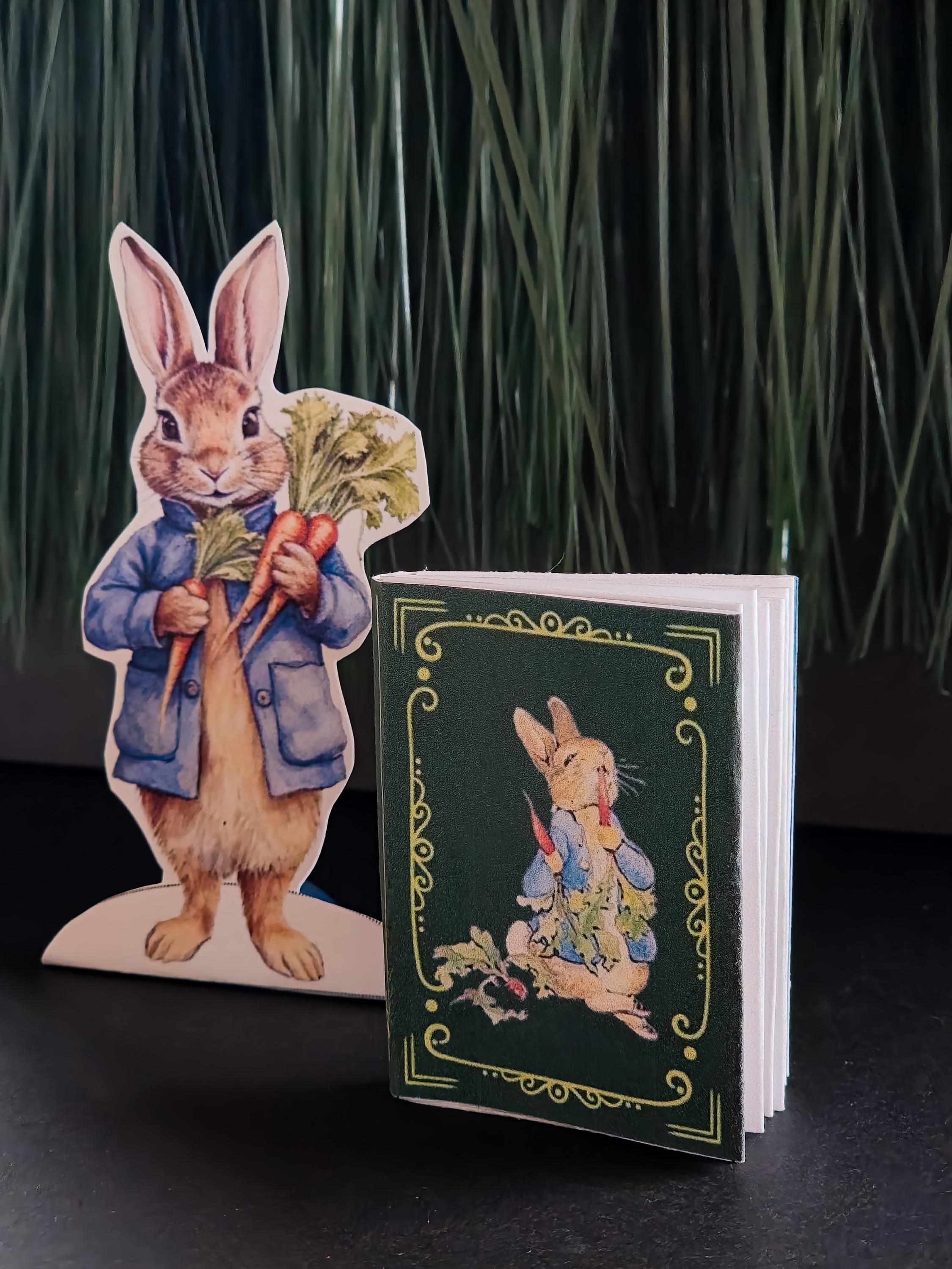 Peter Rabbit Printable Pack, Homeschool Curriculum - Etsy