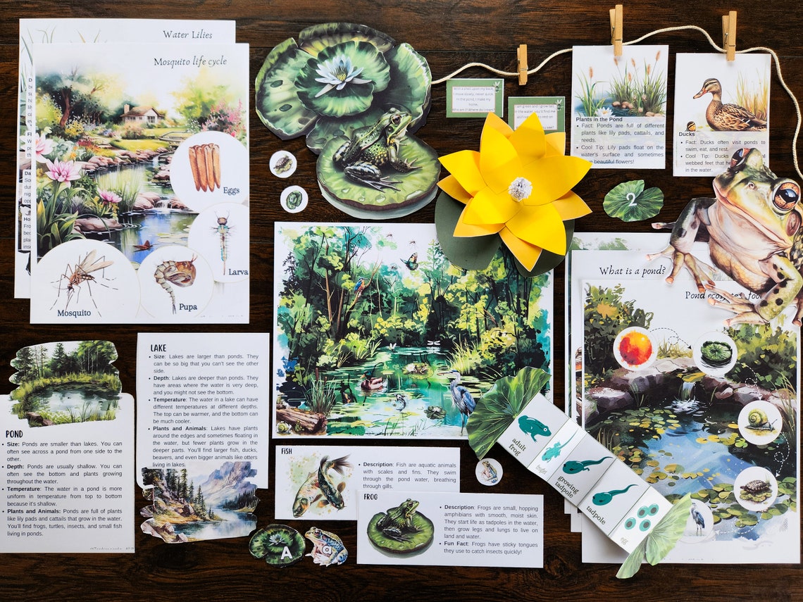 Pond Unit, Pond Study, Montessori Inspired, Homeschool, Homeschool ...