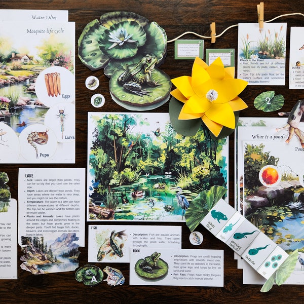Pond - Etsy