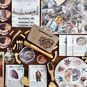 Paleontology Unit Study, Dinosaurs, Fossils, T-rex, Velociraptor ...