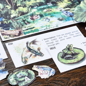 Pond Unit, Pond Study, Montessori Inspired, Homeschool, Homeschool ...