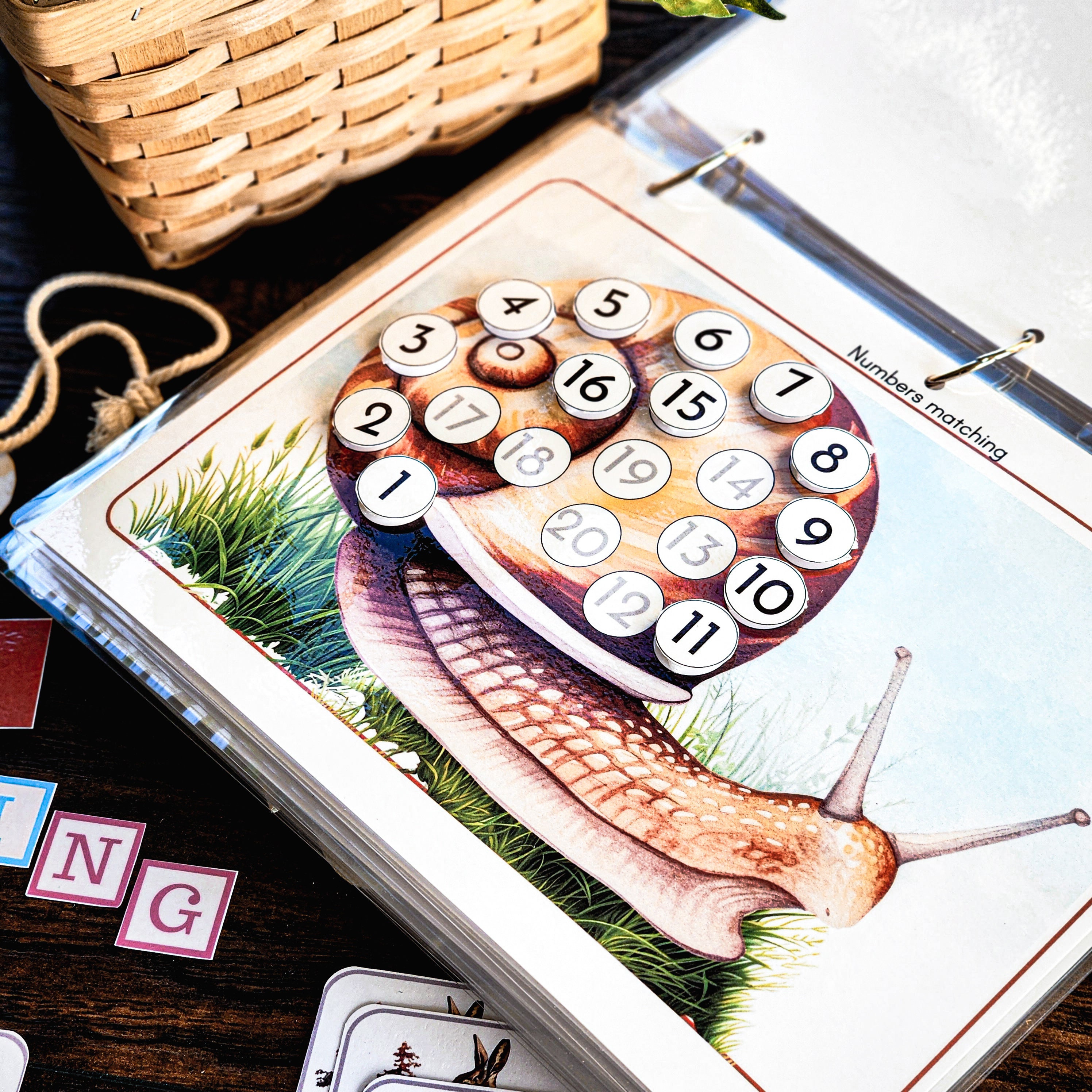 Spring Busy Book , Printable Preschool Worksheets, Homeschool Resources ...