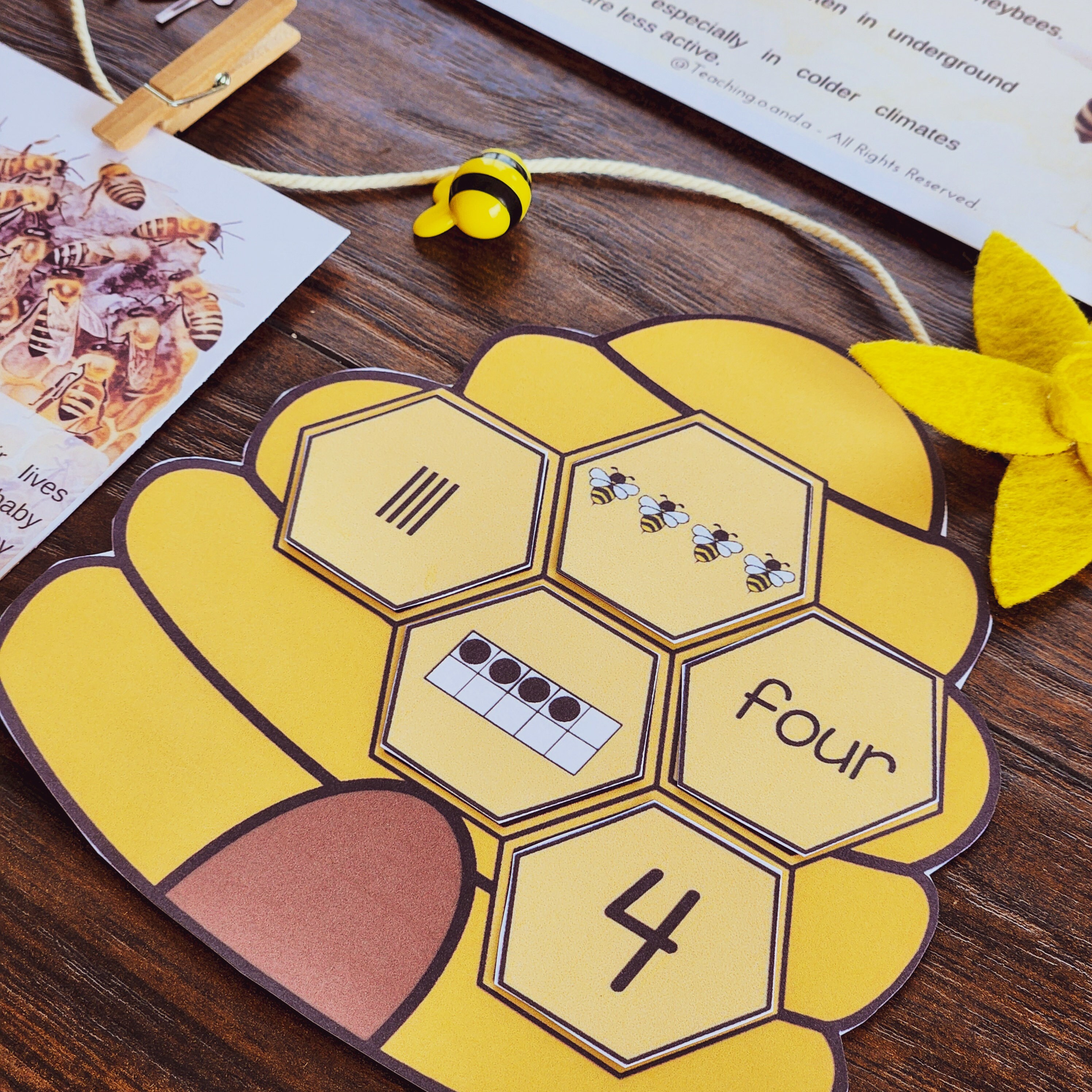 Bees Unit Study, Montessori Activities, Printables, Bee Activities ...