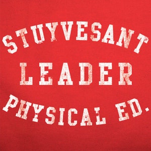 Stuyvesant High School T Shirt Beastie Boys Music Band Red Tee - Etsy