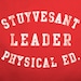 Stuyvesant High School T Shirt Beastie Boys Music Band Red Tee - Etsy