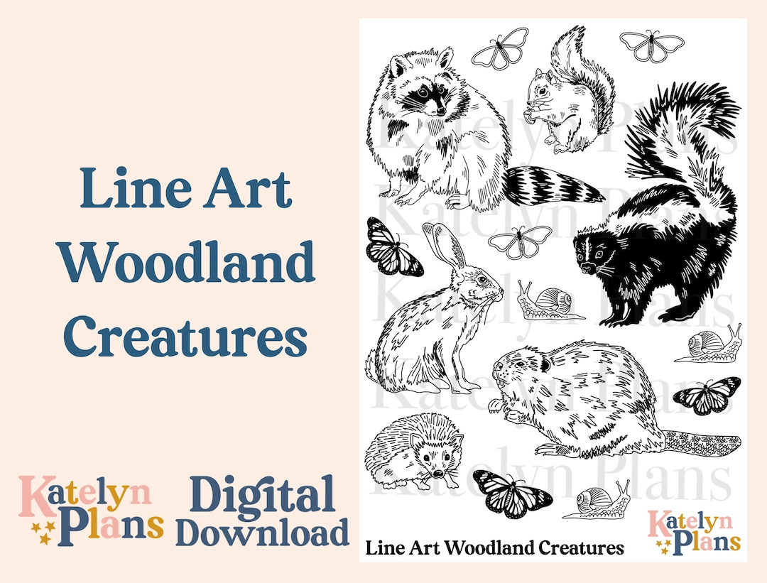 Line Art Woodland Creatures Printable Planner Stickers (digital ...