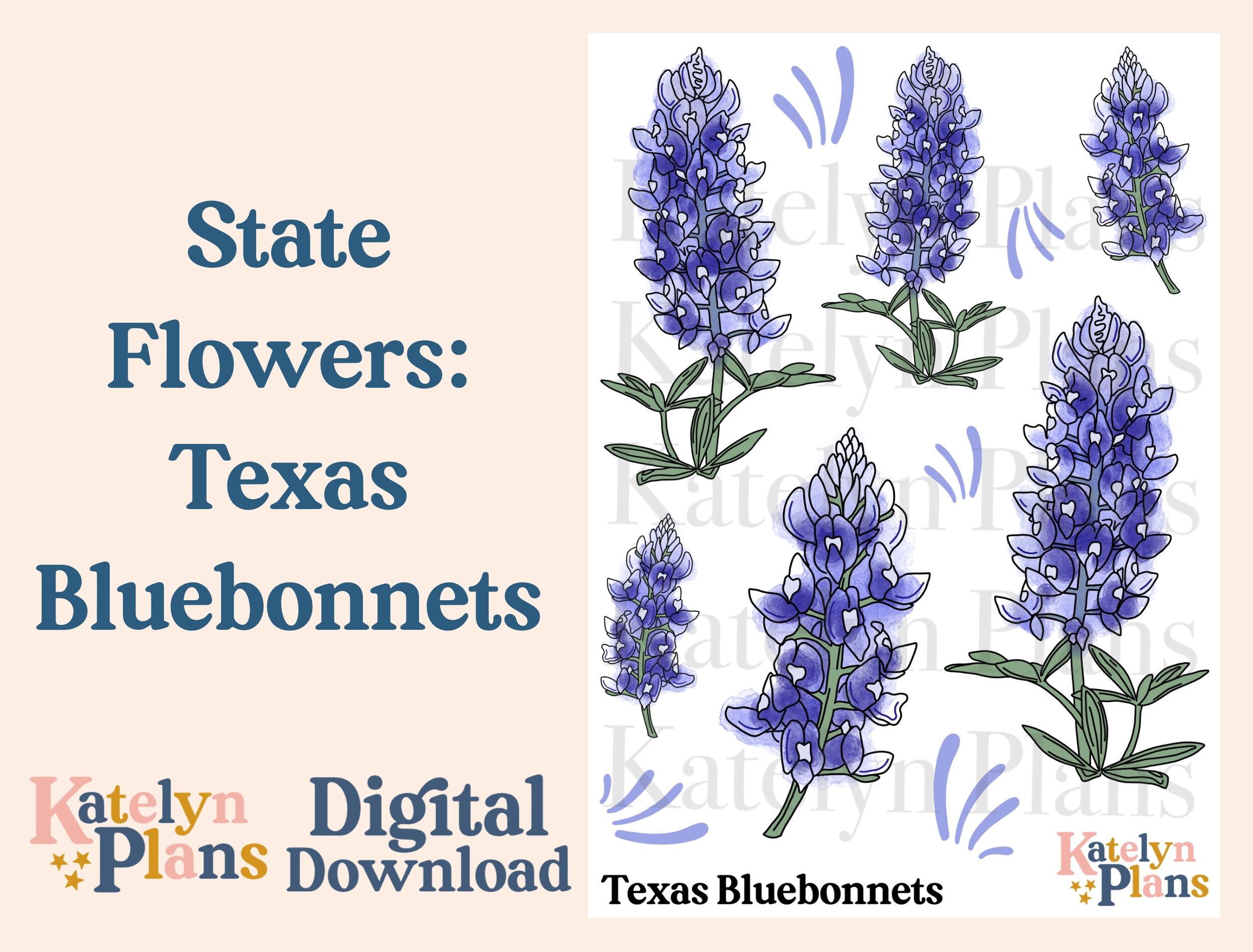 State Flowers: Texas Bluebonnets Digital Download Planner Stickers - Etsy