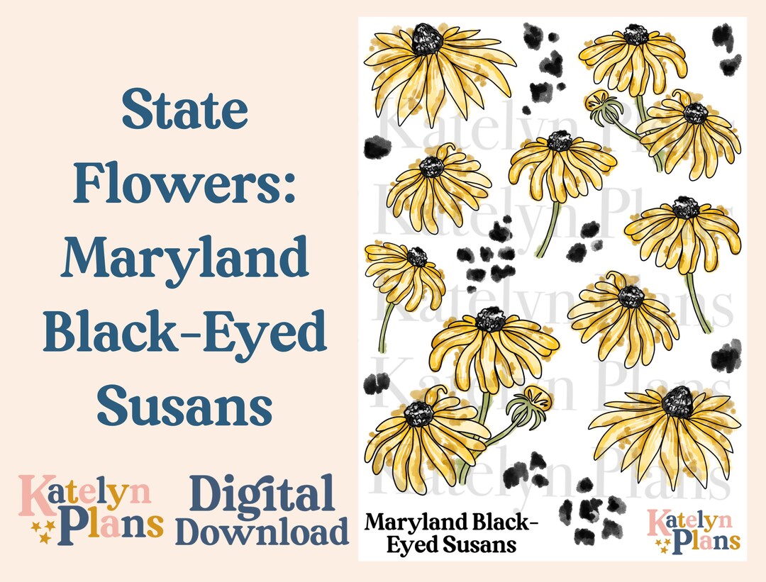 State Flowers: Maryland Black-eyed Susans Printable Planner Stickers ...