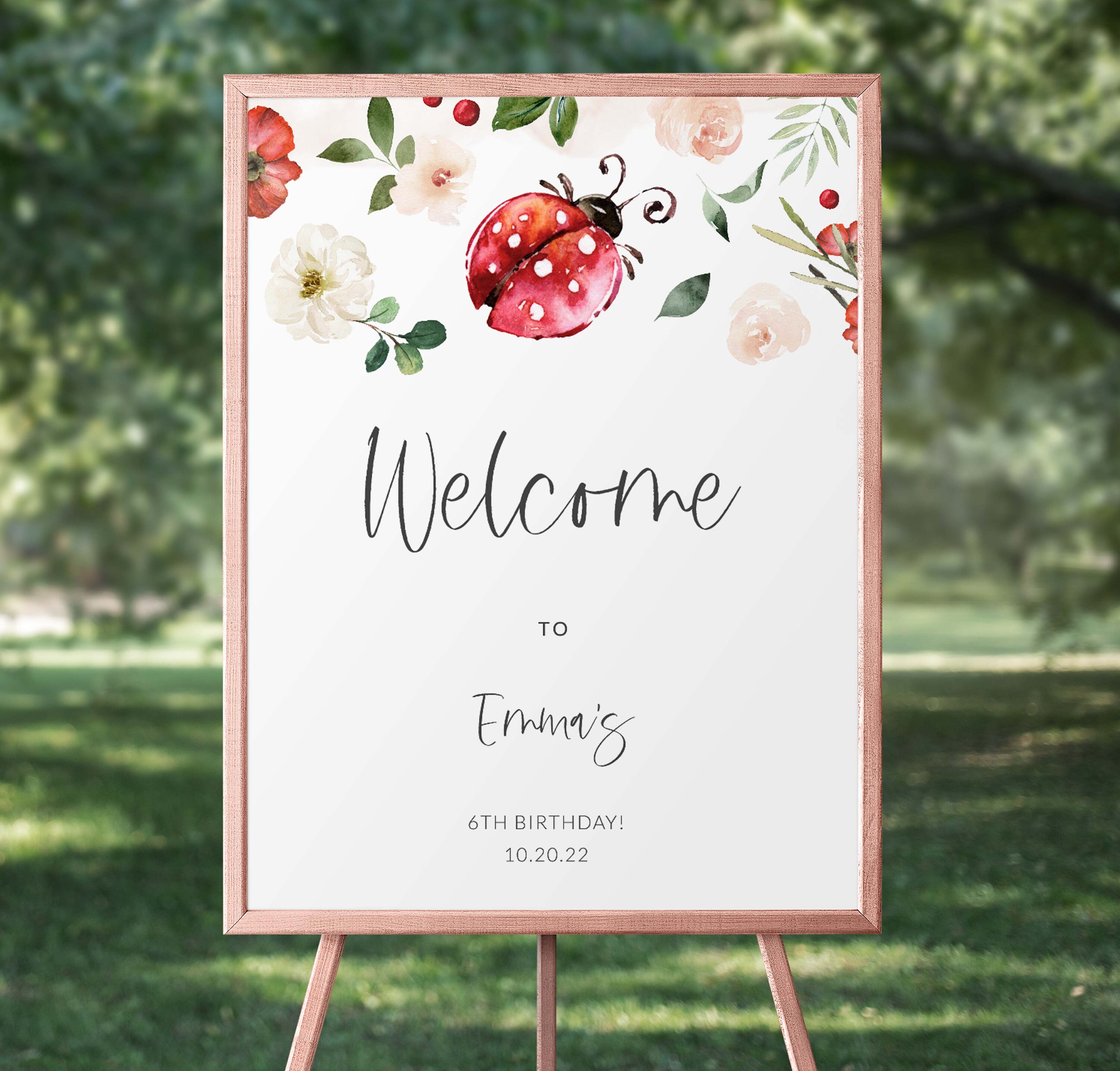 Ladybug Birthday Sign, Ladybug Birthday Party Sign, Editable, Instant ...