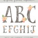 Digital Alphabet Letters. Digital Scrapbook Alphabet. Digital Floral ...