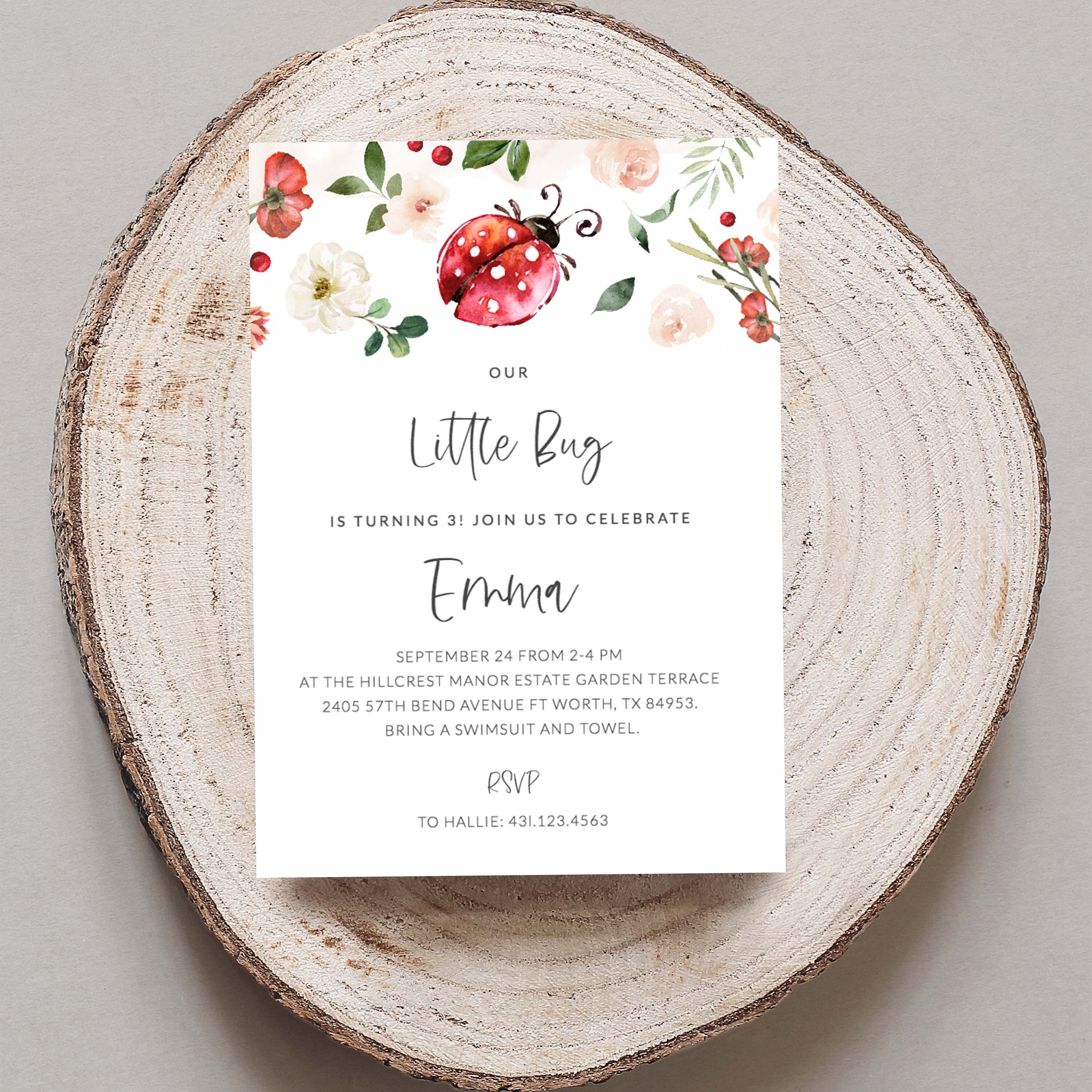 Ladybug Birthday Invitation Cute Ladybug Invitation, Editable Ladybug ...