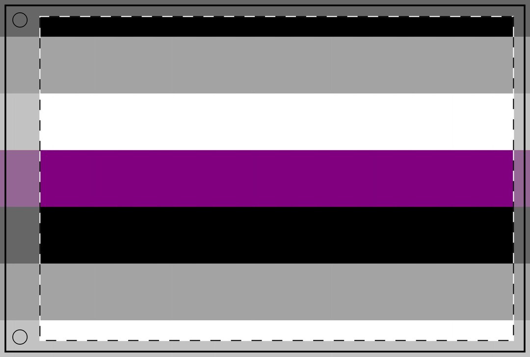 Asexual Pride Flag Double-sided Flag, Rainbow Color Banner, Outdoor and ...