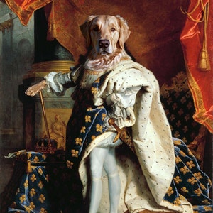 King Louis XIV - Custom Pet Portraits - Dog Portraits and Cat Portraits ...