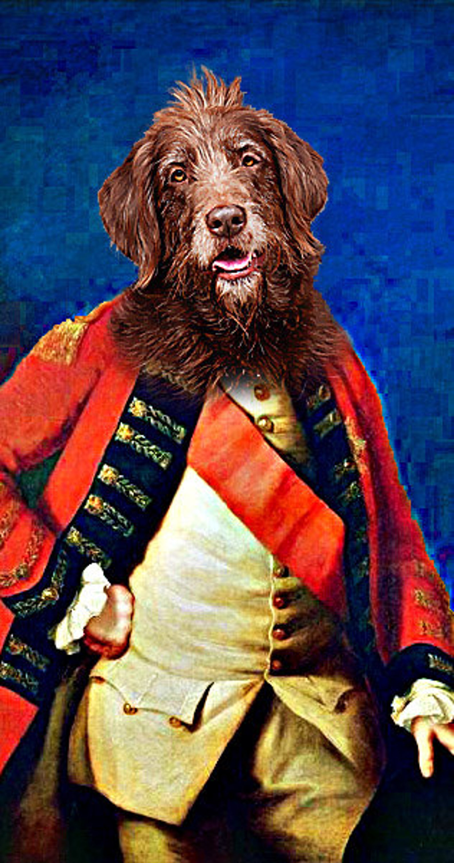 The General Custom Pet Portraits Dog Portraits and Cat - Etsy