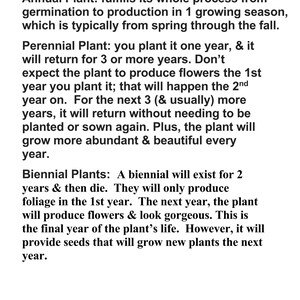 Stock Ten Week Mix 50 Seeds 30% off SALE 10 Perc off 2 - Etsy