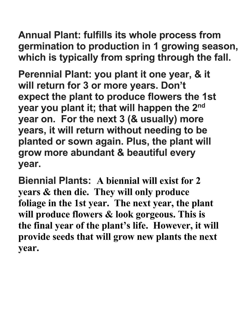 Stock Ten Week Mix 50 Seeds 30% off SALE Section 10 Perc - Etsy