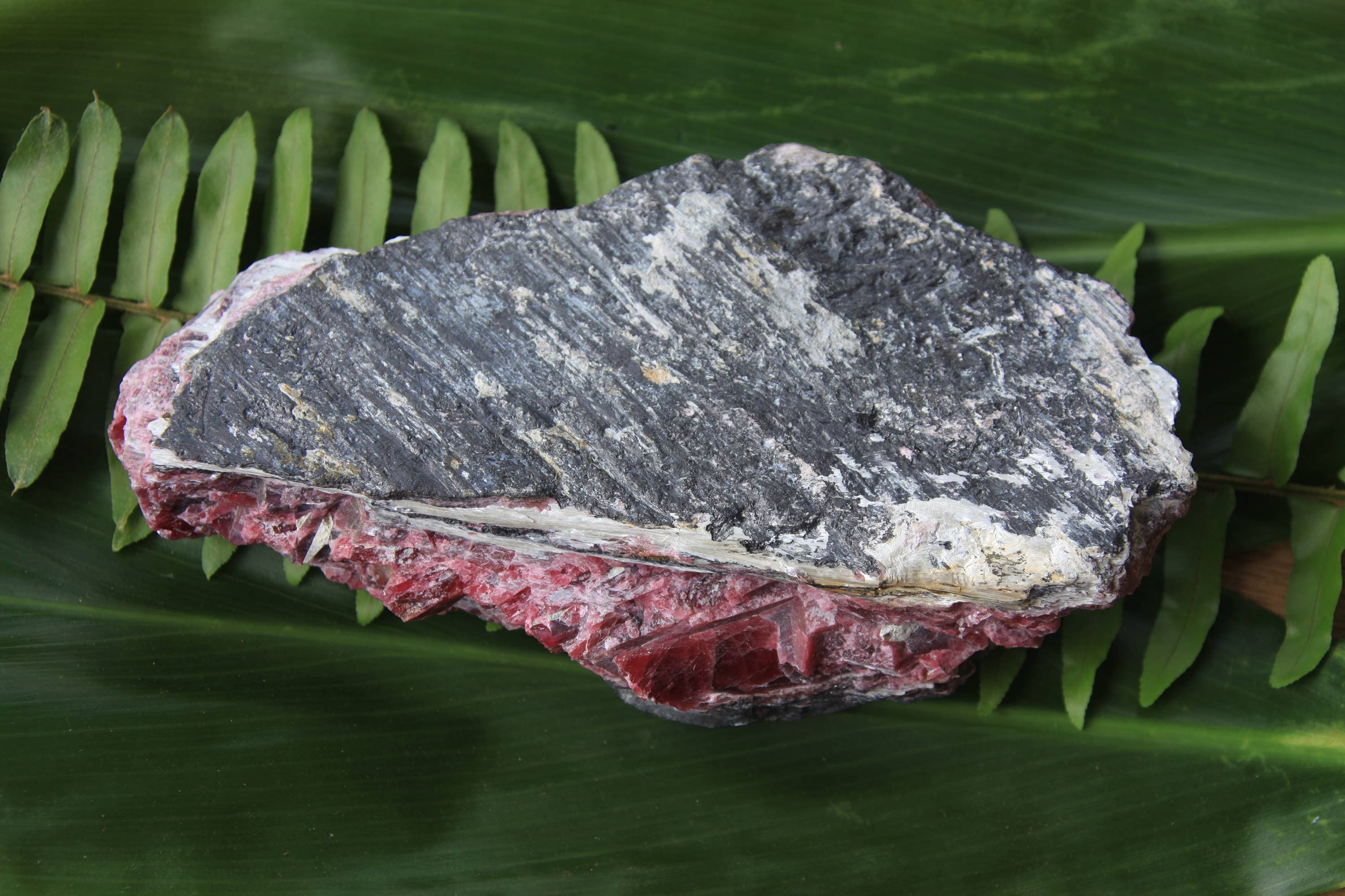 Large Gem Rhodonite With Cummingtonite Brazil Deep Red - Etsy Ireland