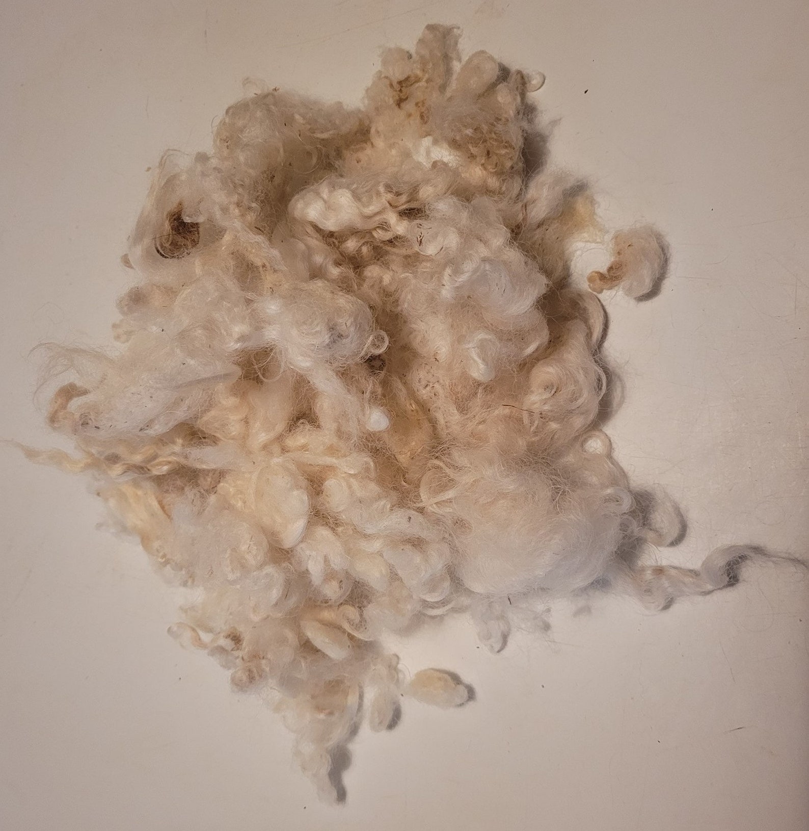 Fiber Art With Cotswold Wool - Etsy