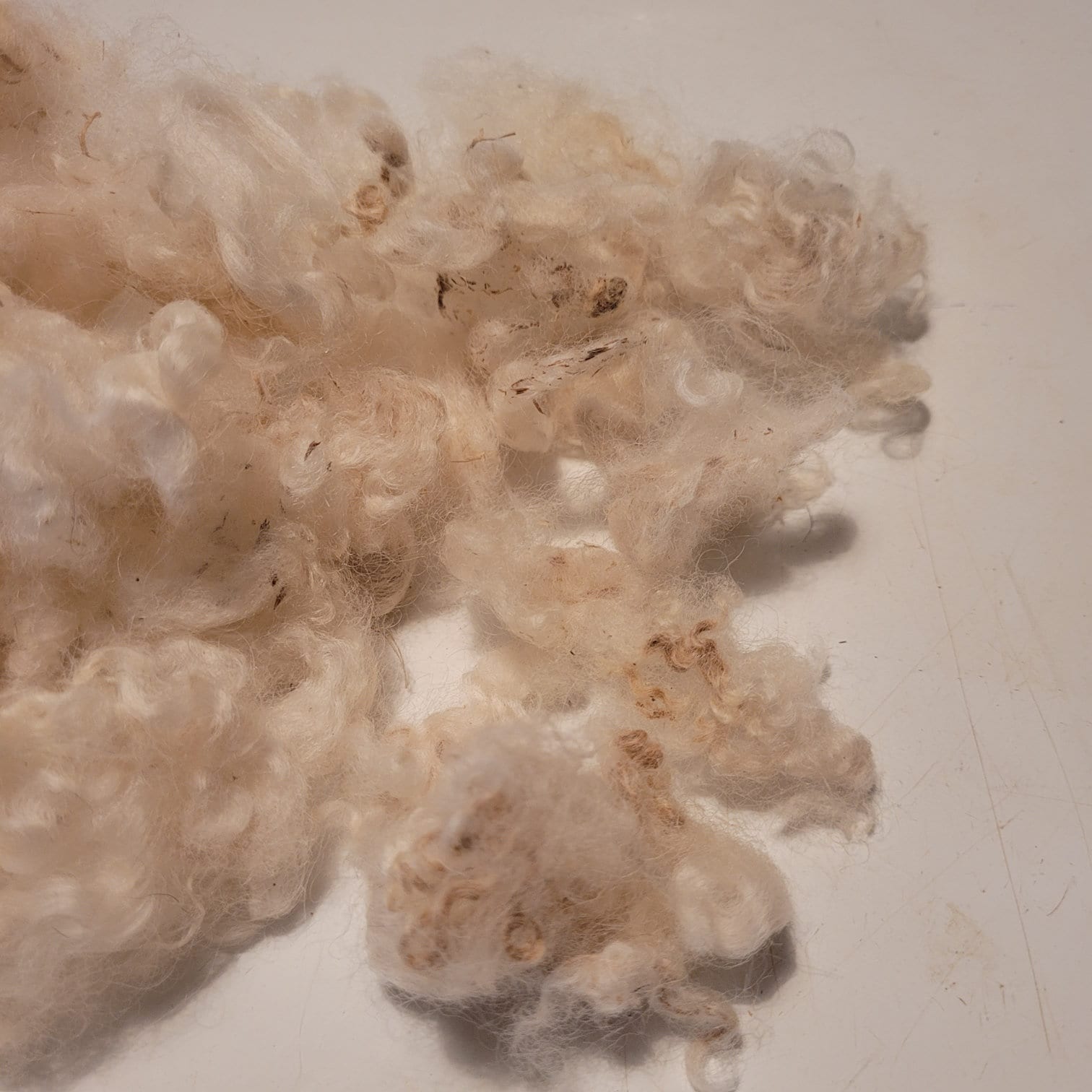 Fiber Art With Cotswold Wool - Etsy