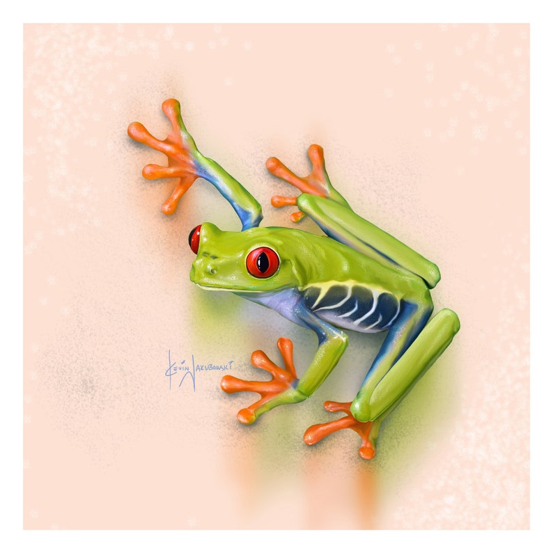 Tree Frog Print - Etsy