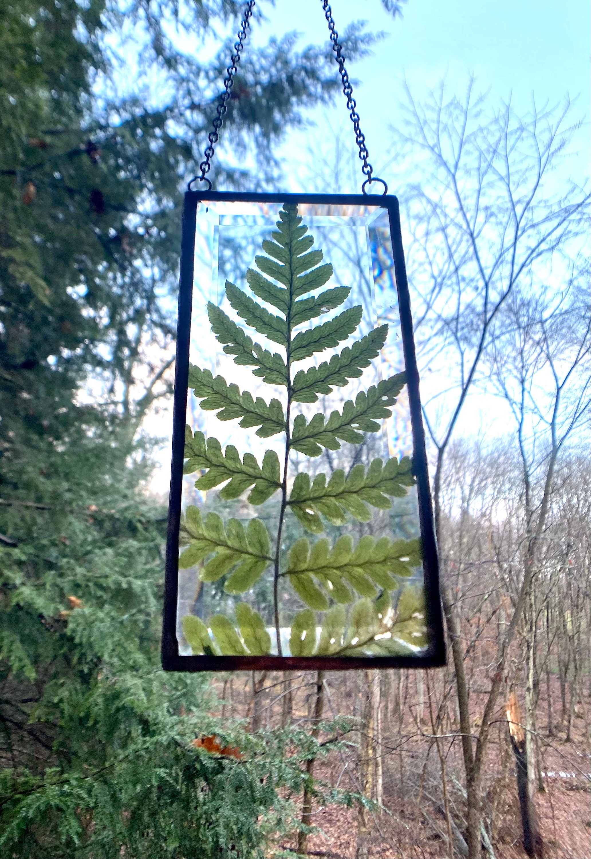 Home & Living Night Lights Birthday Gift Dried Flowers Night Light ...