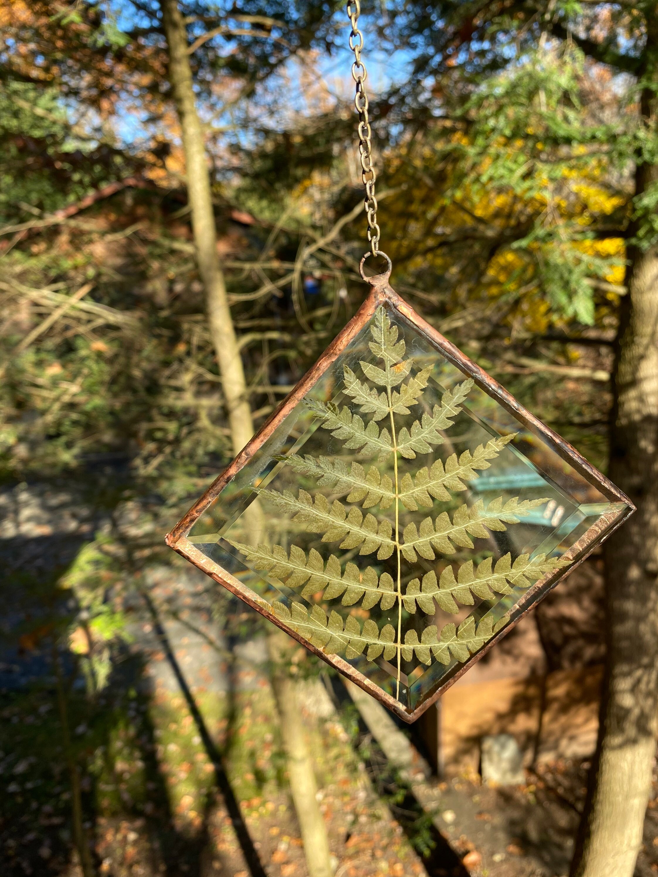 Home & Living Night Lights Birthday Gift Dried Flowers Night Light ...