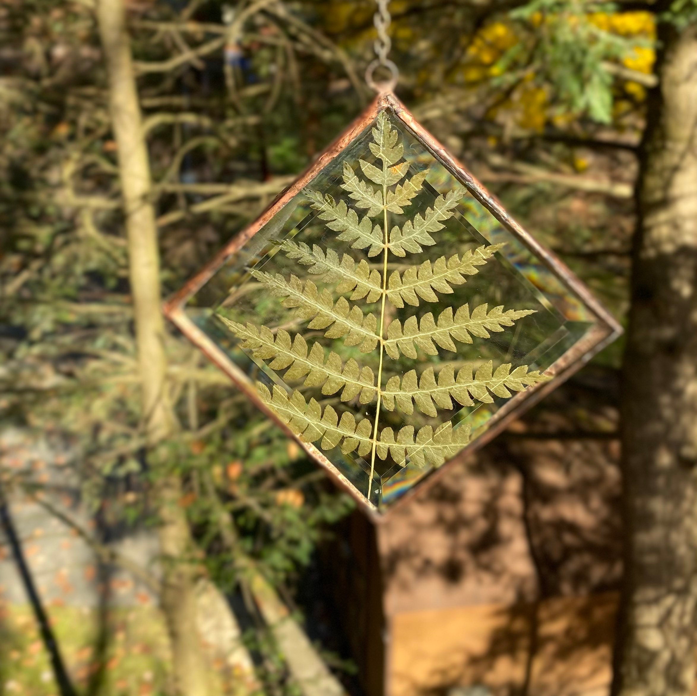 Home & Living Night Lights Birthday Gift Dried Flowers Night Light ...