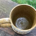Fern Mug - Etsy