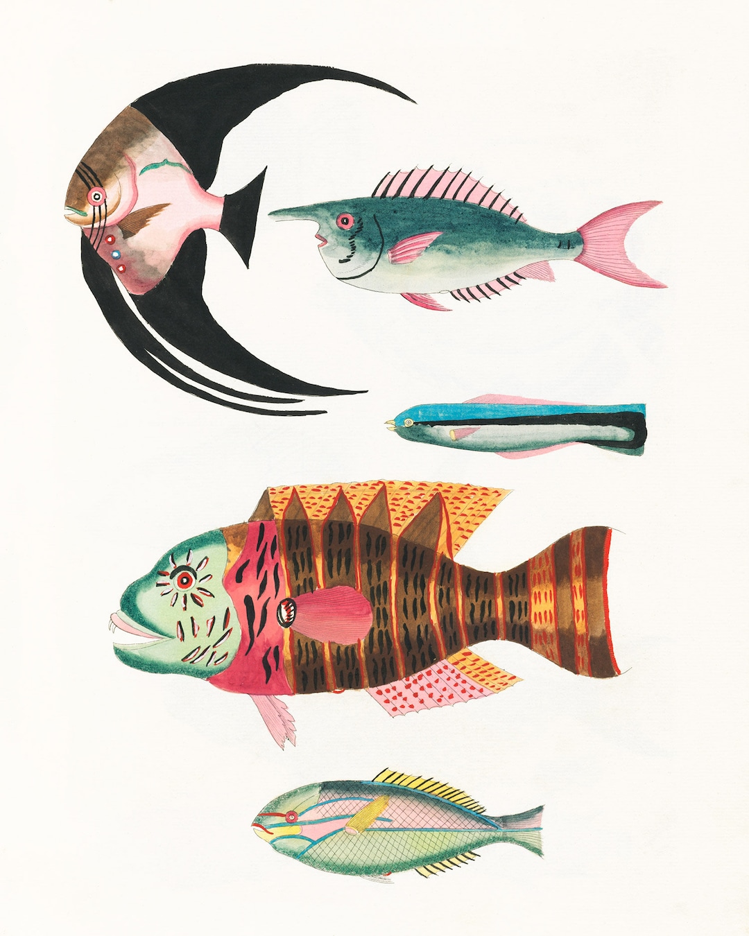 Colorful Bright Art, Tropical Fish Art, Vintage Fish Print, Angler Art ...
